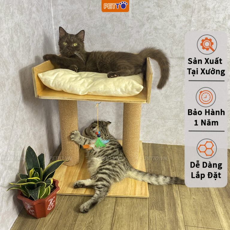 Top 10 mẫu CAT TREE CHO MÈO bằng gỗ hot nhất năm 2023 bạn nên xem - Petto