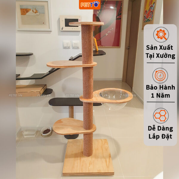 Top 10 mẫu CAT TREE CHO MÈO bằng gỗ hot nhất năm 2023 bạn nên xem - Petto