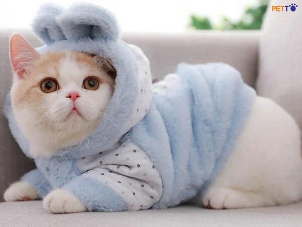 Chất liệu tốt nhất để làm quần áo cho chó mèo - Petto